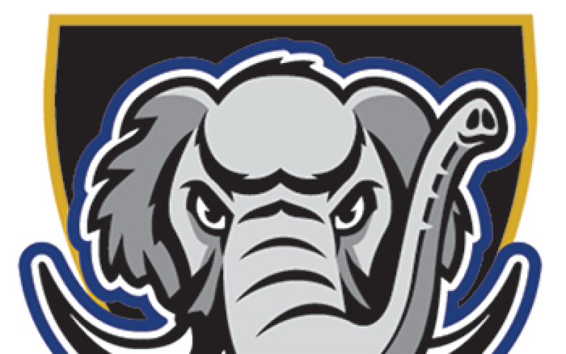 Purdue-Fort Wayne Mastodons – 1380 The Fan